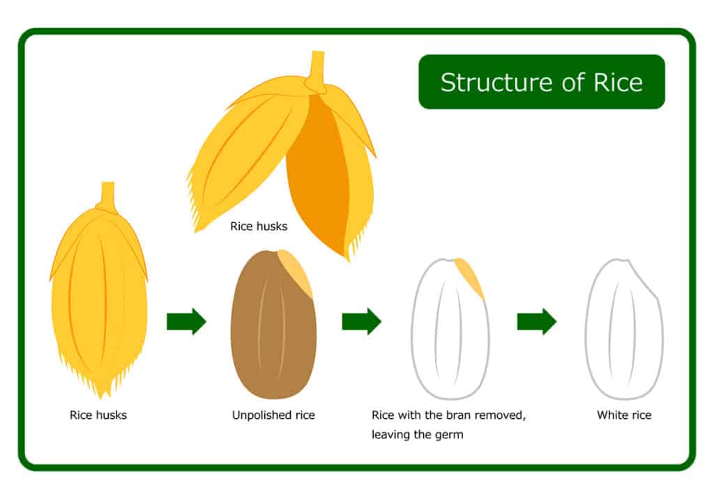 Is Rice Gluten-Free? The Answer and Cooking Tips | Edible Times
